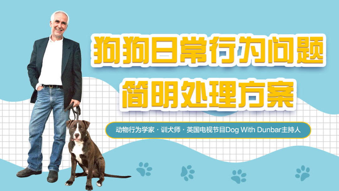 科学训练狗狗