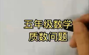 五年级数学质数问题