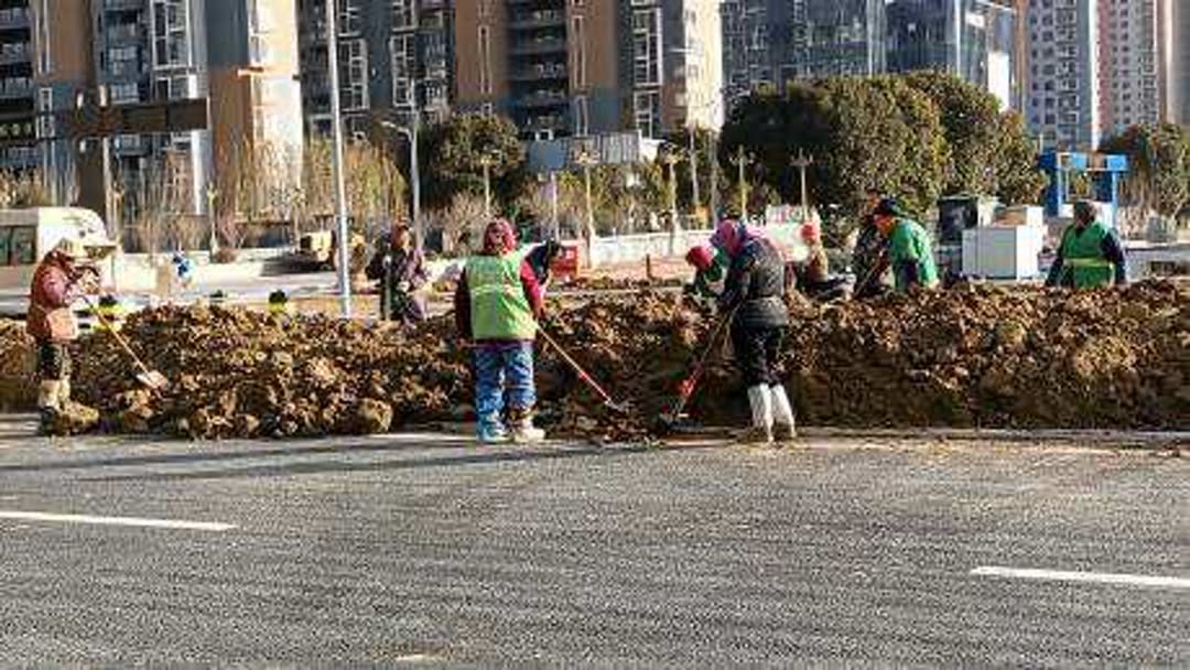 绿化带施工都是啥样的人,想不到吧