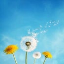 我会爱你到天涯海角 