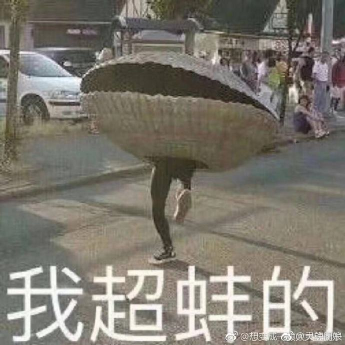 超厉害的阿婆主 