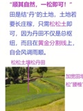 关于“气沉丹田”,和大家共同讨论一下吧!#太极 #气沉丹田