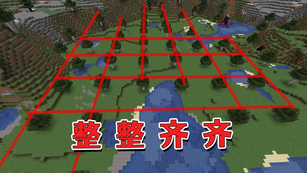 我的世界:这个种子有强迫症?我从没见过摆的如此整齐的mc种子