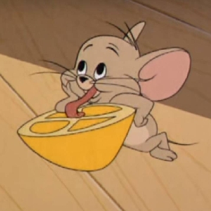 这只杰瑞就是逊啦 