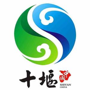 程序员创业堂哥 