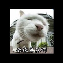 水瓶-鼠 