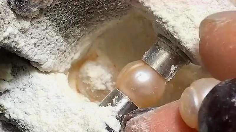 第一次亲眼目睹珍珠的打磨过程,看着很爽啊!