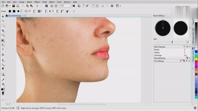 CDR X8视频教程-像PS修复画笔那样