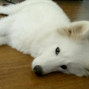 头条号名称我也不会取 