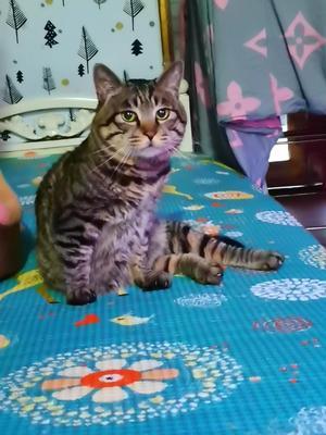 狸梨总是想刘女士要是没有他该怎么办呀,拖地都能摔个腚堆,真是太...