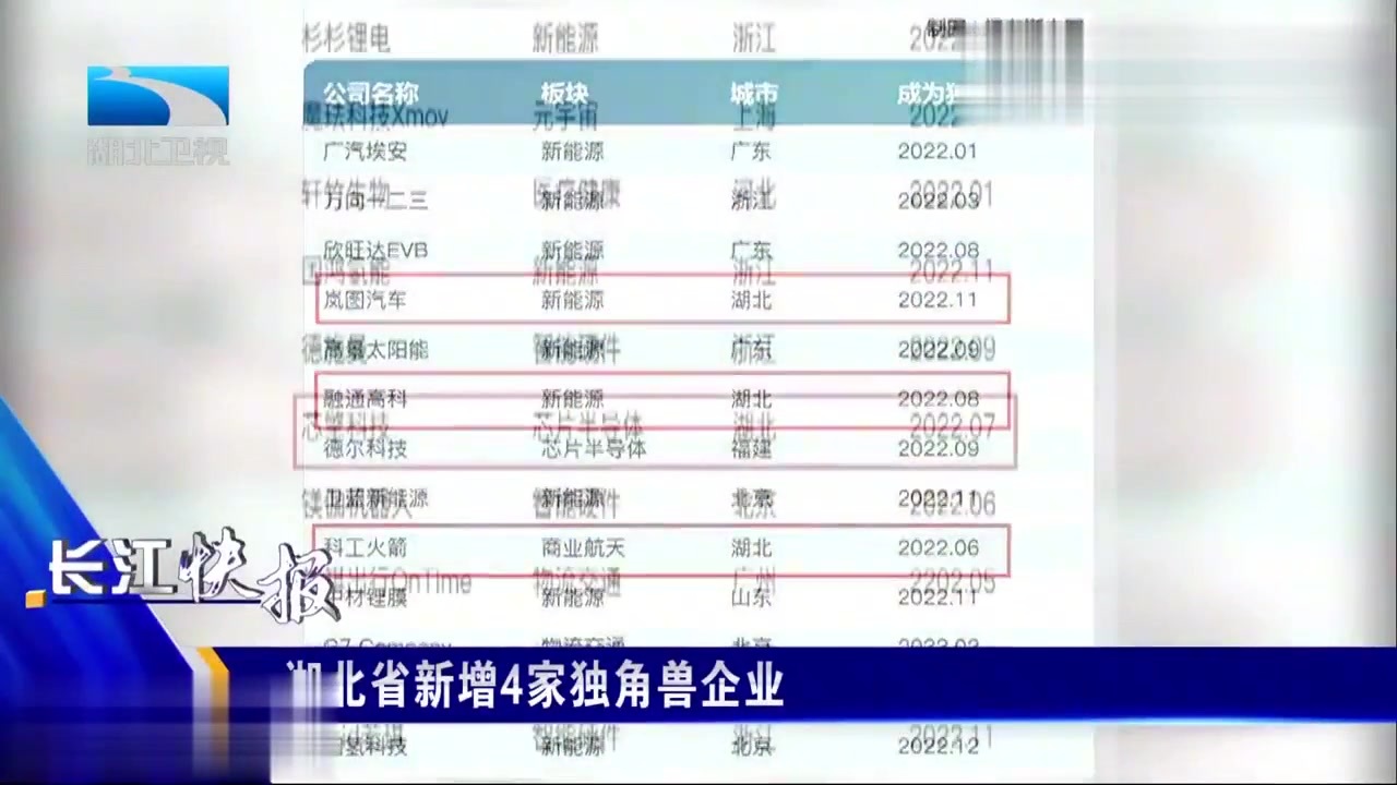 湖北省新增4家独角兽企业