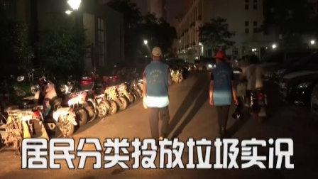 居民分类投放垃圾实况