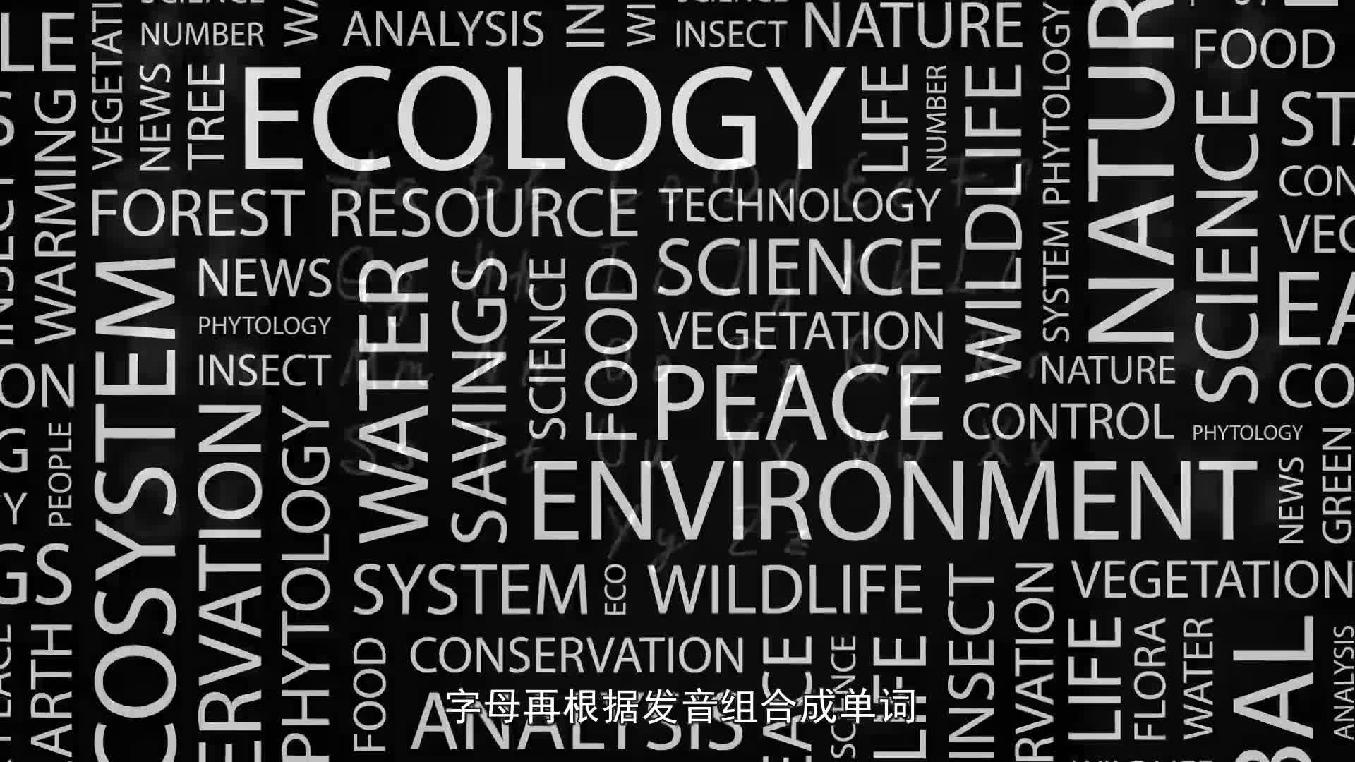 象形文字和字母文字,谁离芯片更近?