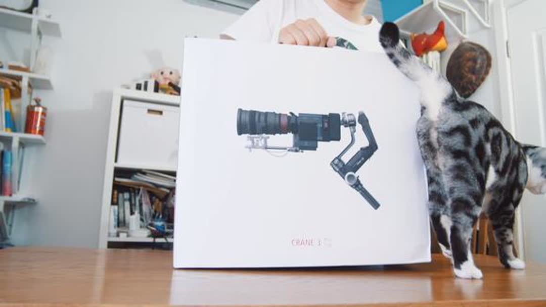 我用这个稳定器分享同步运镜的6个小技巧