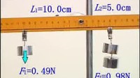 物理实验视频-探究杠杆的平衡条件