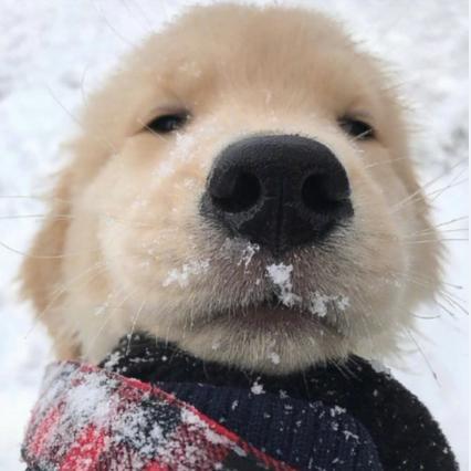 用户1587336164943784 