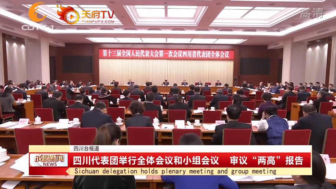 四川代表团举行全体会议和小组会议 审议“两高”报告