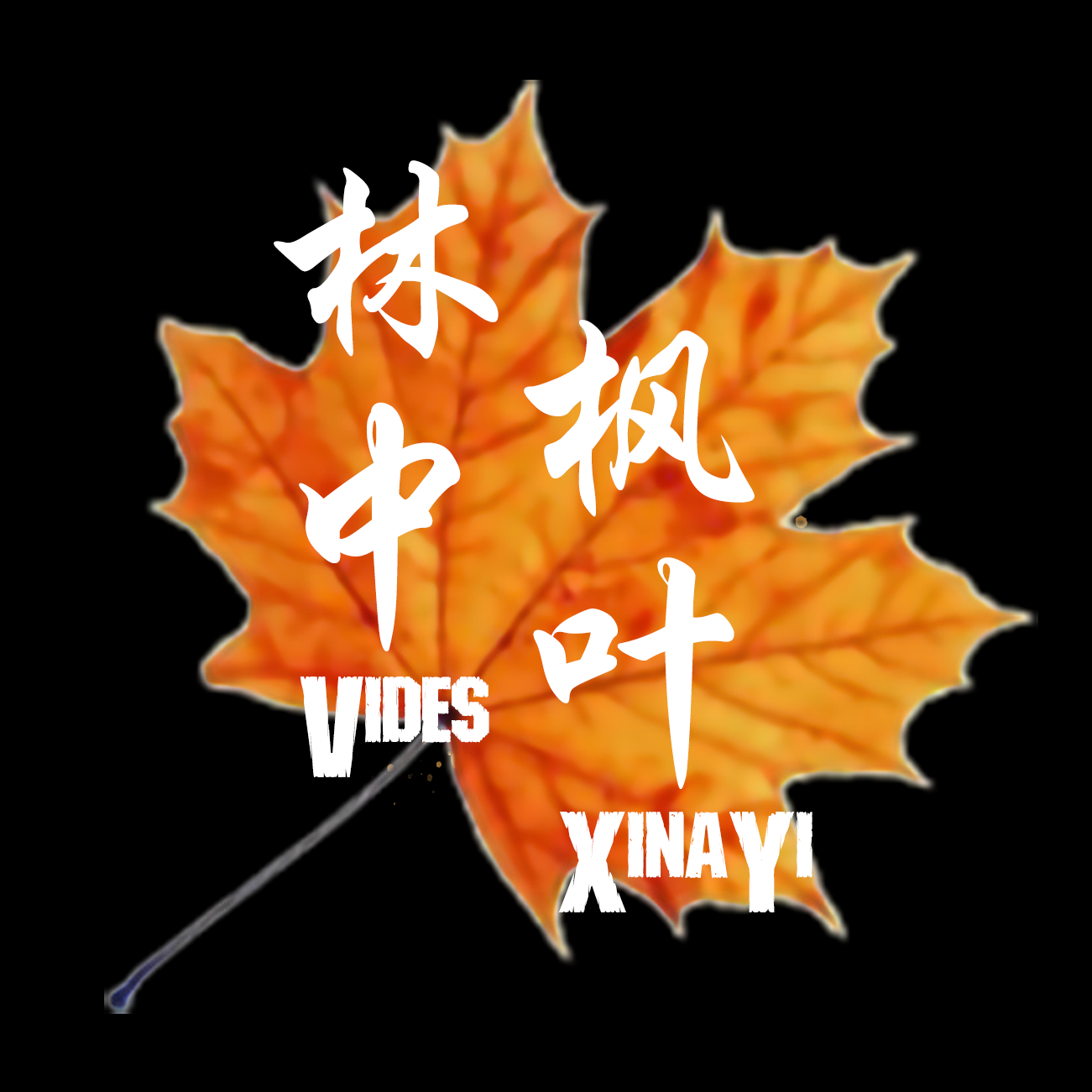 林中枫叶-VidesXinaYi 