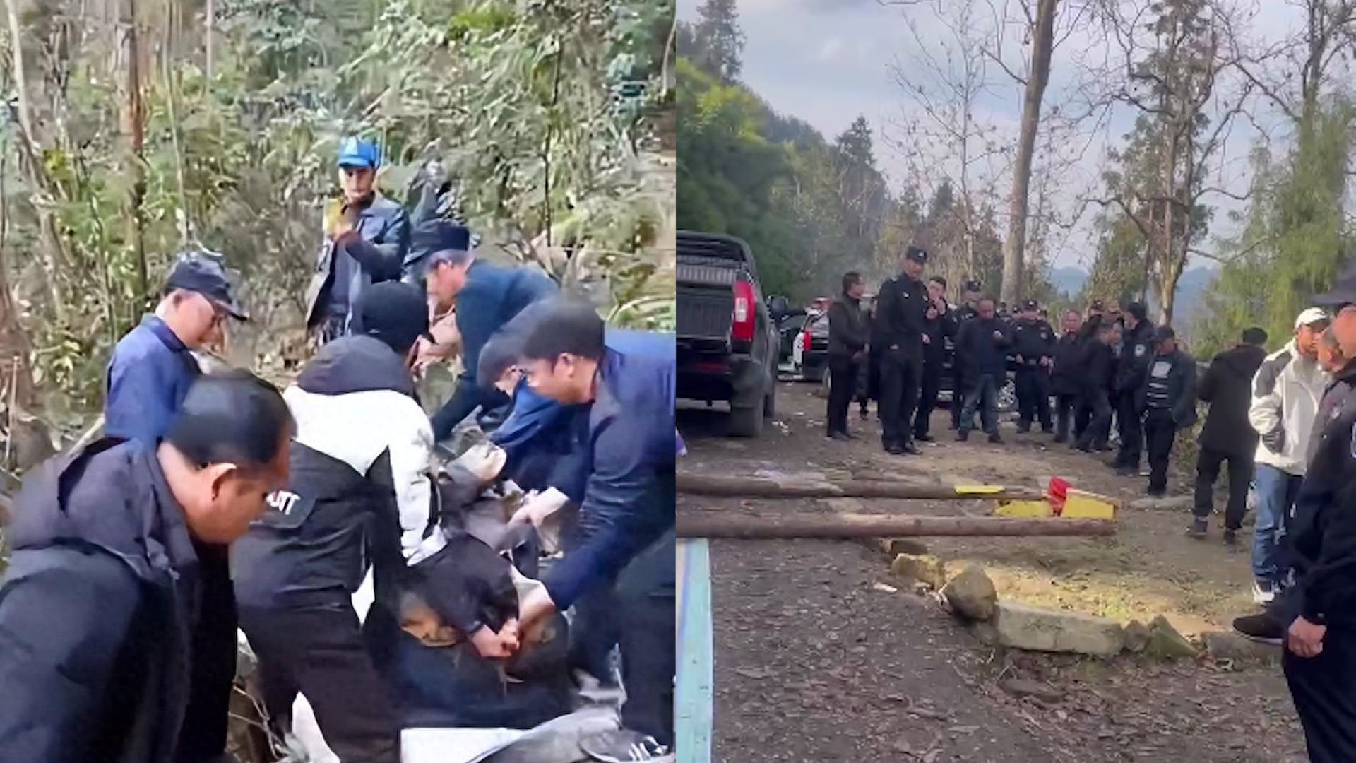 男子受雇砍树被砸身亡,家人索赔60万未果,林业局称系无证砍伐,警方介入