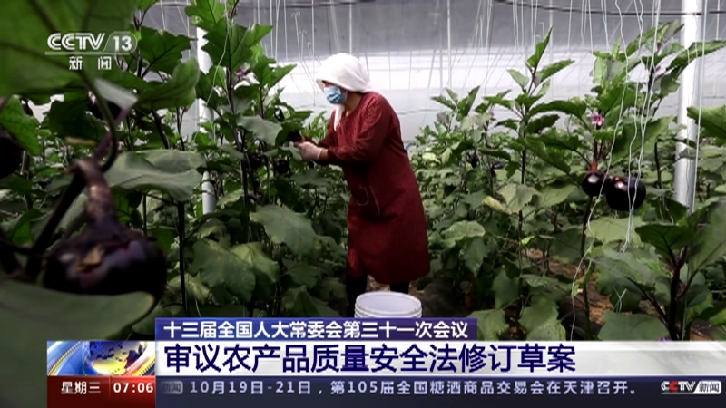 ...十三届全国人大常委会第三十一次会议 审议农产品质量安全法修订草案