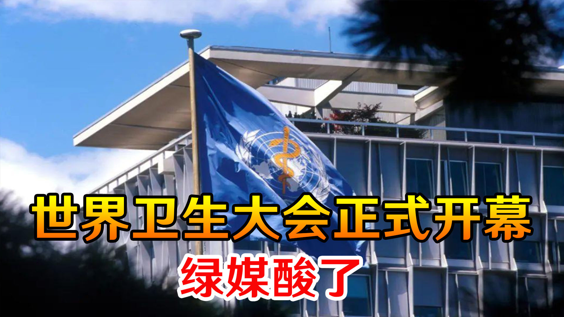 世界卫生大会正式开幕,绿媒酸了:调查报告里写的是"中国台湾"