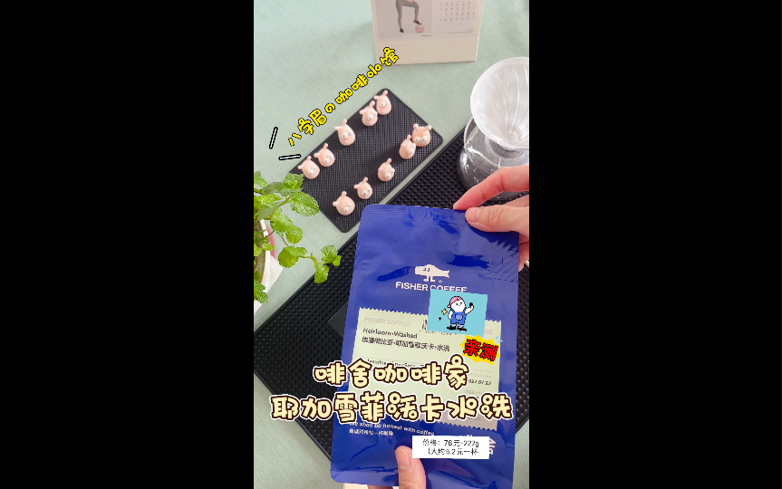 日常记录|记录喝到的咖啡|啡舍咖啡家埃塞俄比亚耶加雪菲沃卡|水洗...