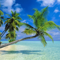 沉默不代表综艺 