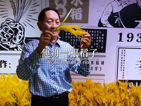 致敬杂交水稻之父袁隆平,以一己之力让无数人吃上饱饭