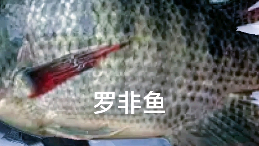 《三体》五大武器