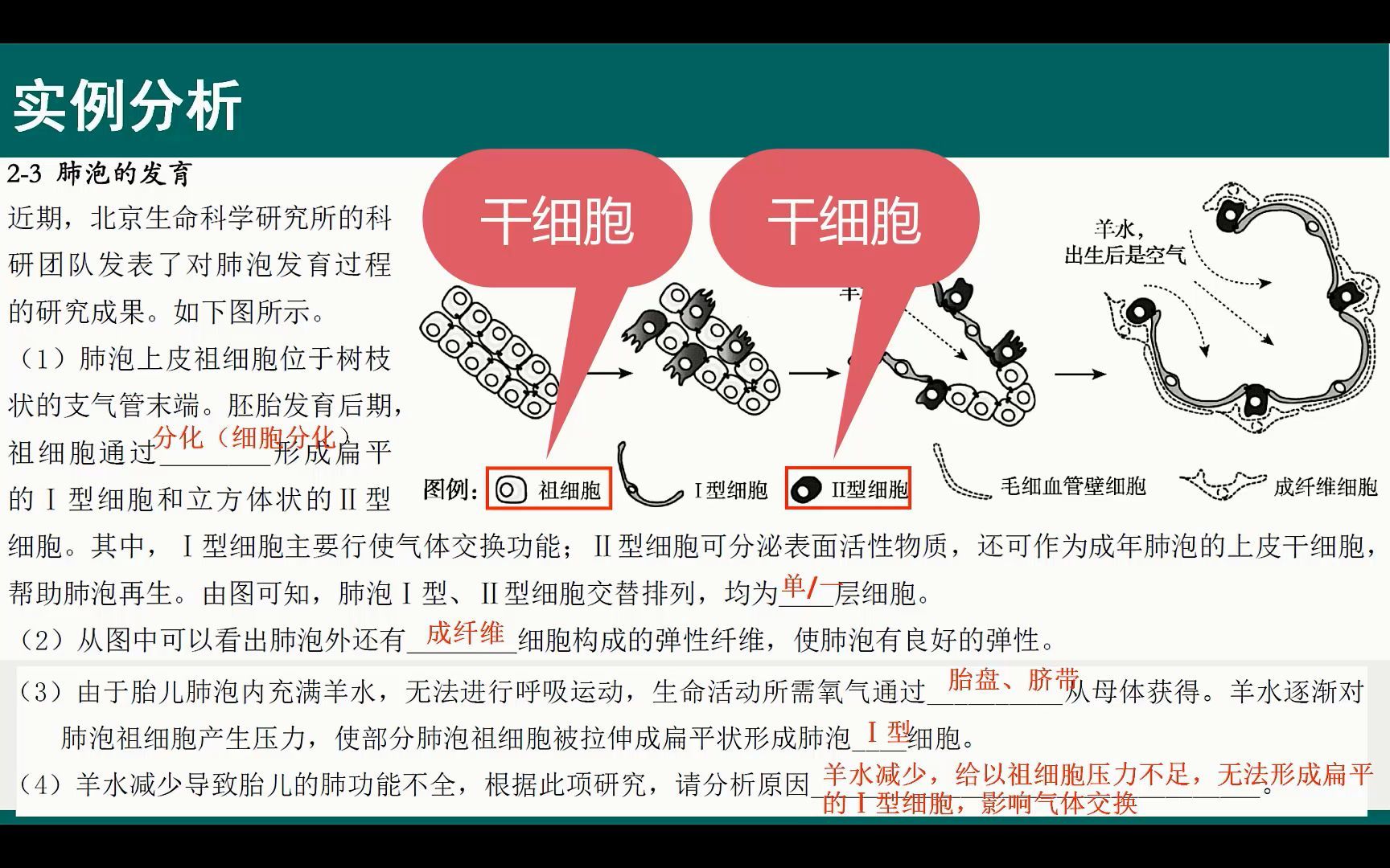 生物体的结构与功能2(生长发育+植物营养)