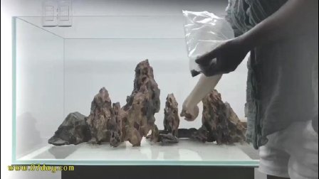 07day造景 水草缸 松皮石开缸