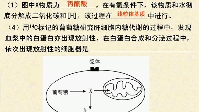高中生物一轮复习——细胞器习题讲解