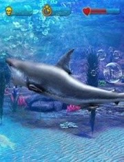 饥饿鲨鱼游戏动画