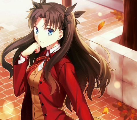 小斌斌带你遨游天下 