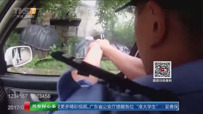 藏獒当街伤人 民警果断开枪