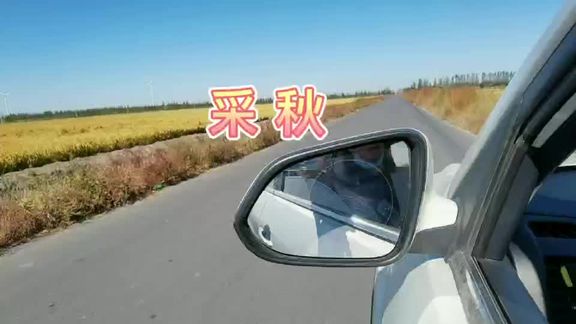 秋的味道 #秋天 #稻田风光