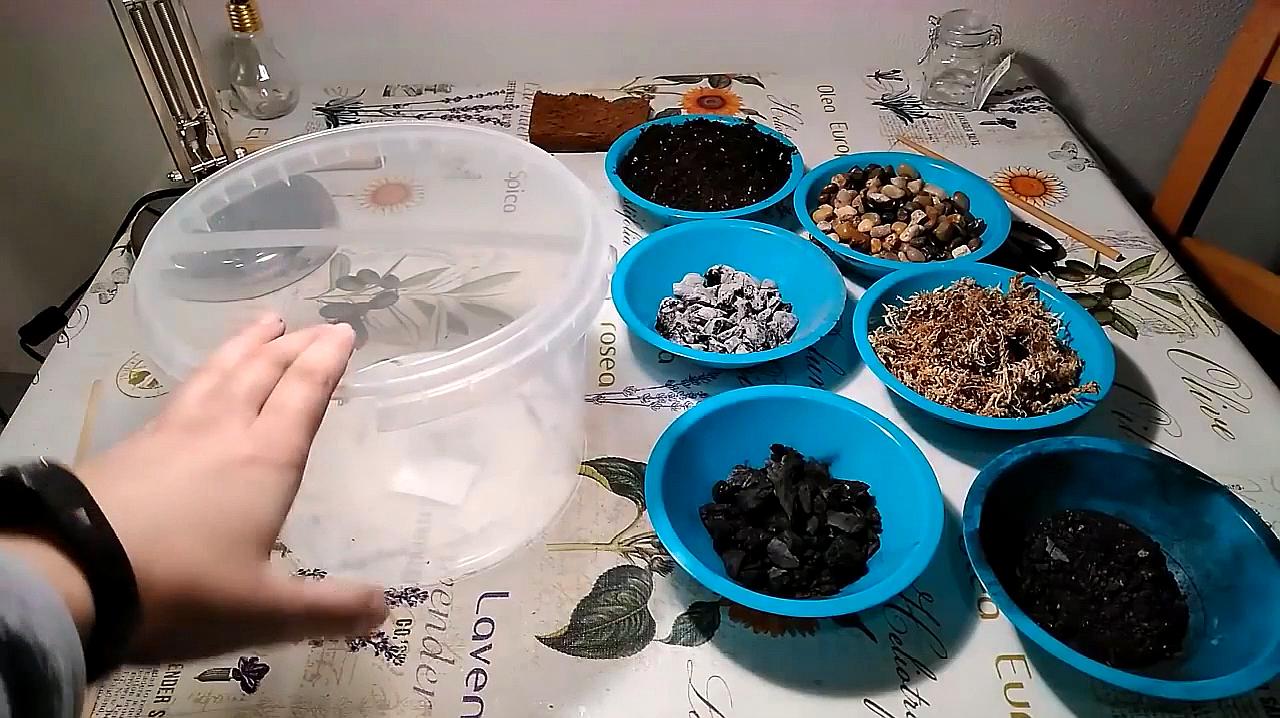 玻璃罐还能这样玩,几分钟制作一个美丽的植物生态缸,成品真美
