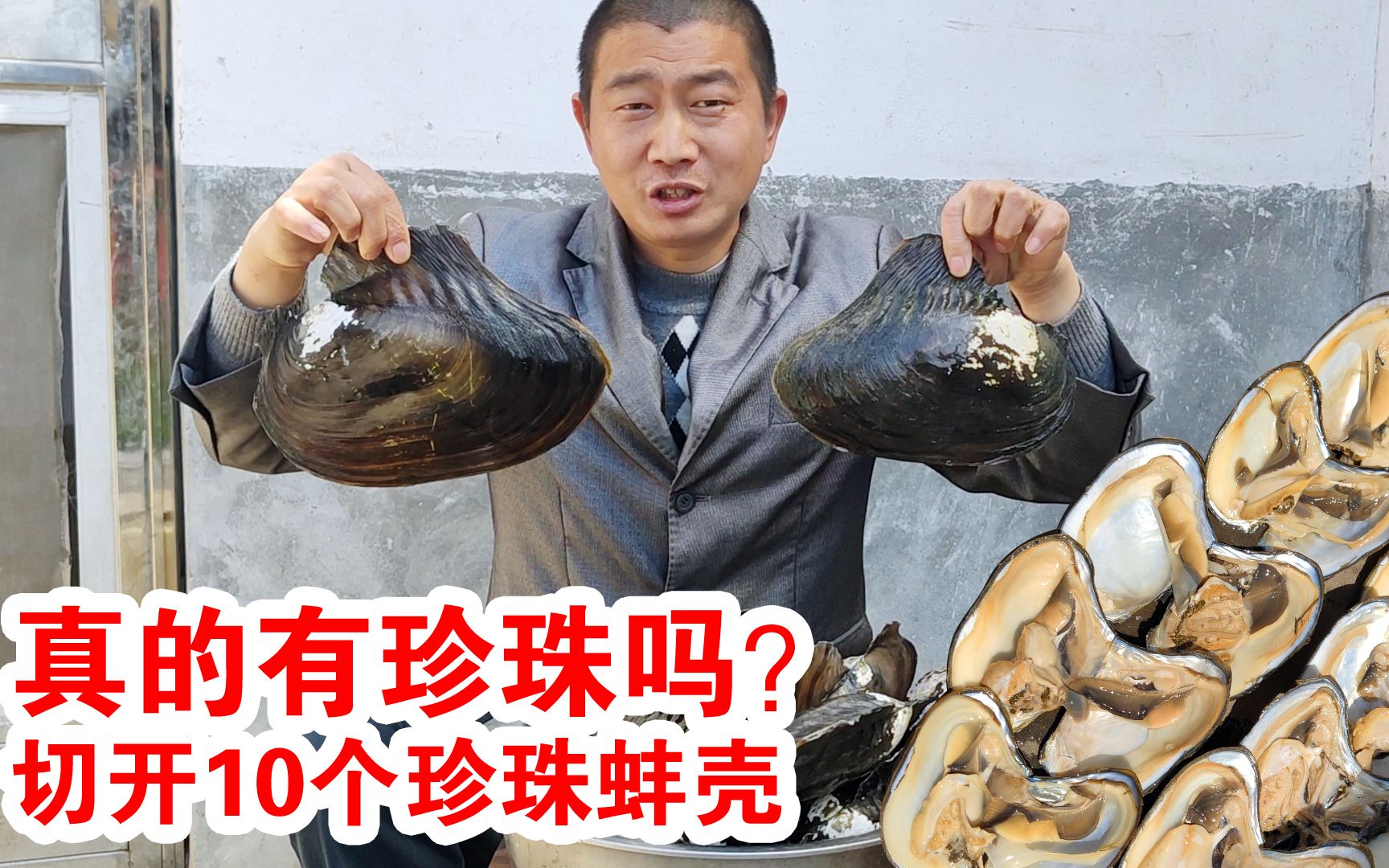 珍珠蚌壳有珍珠吗?农村小伙切开10个蚌壳,看看结果怎么样
