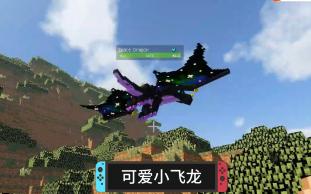 一个可以养可爱宠物小龙的mod