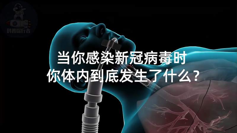 如果感染新冠病毒我们身体会发生些什么?演示病毒入侵,感染致病