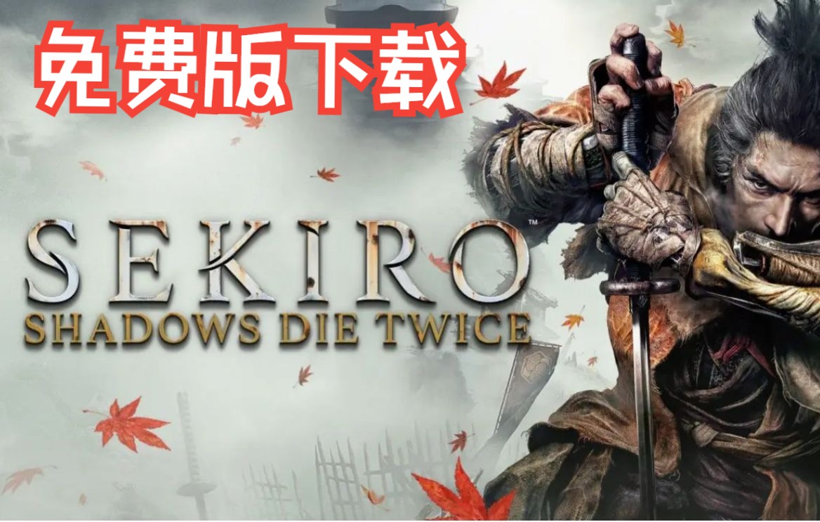 只狼:影逝二度(Sekiro:Shadows Die Twice) 1060 1050 实际运行