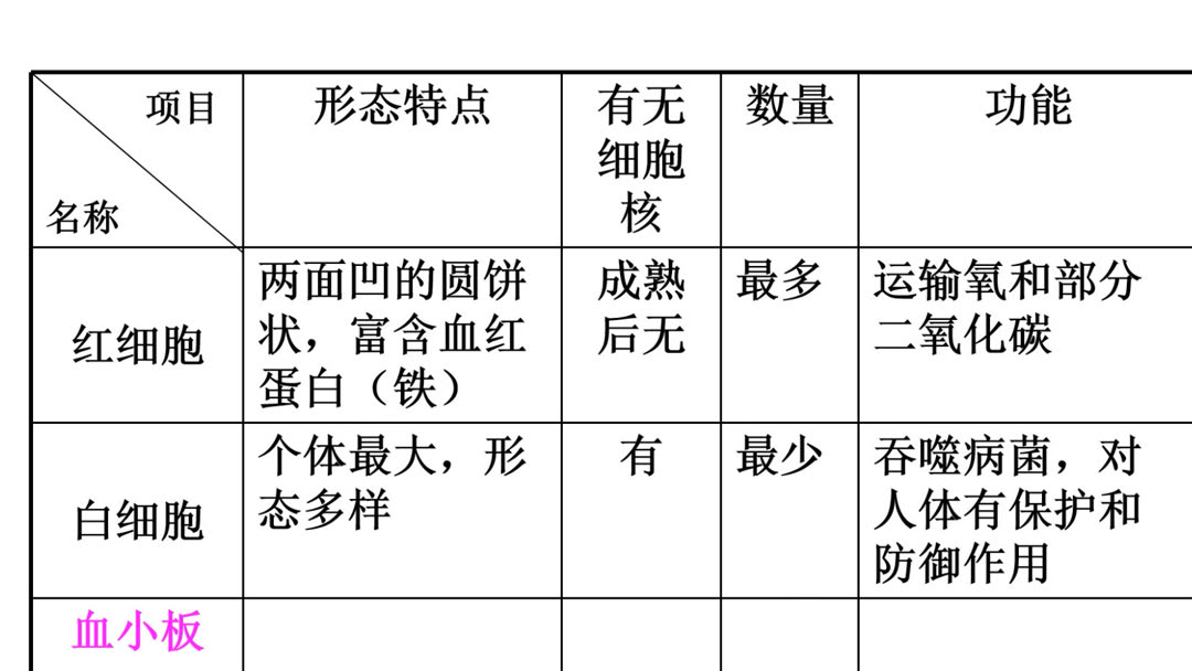 中考生物结业考试之心脏和血液循环2