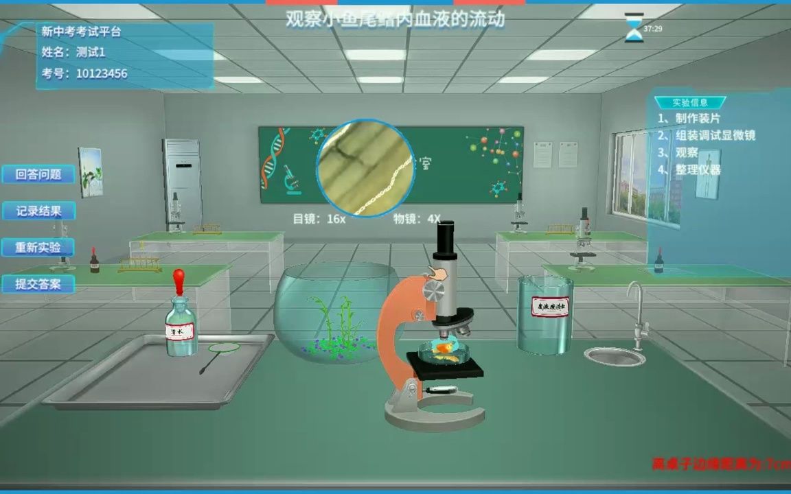 观察小鱼尾鳍内血液的流动