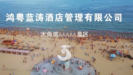 2020 1 20鸿粤蓝涛酒店管理有限公司宣传视频