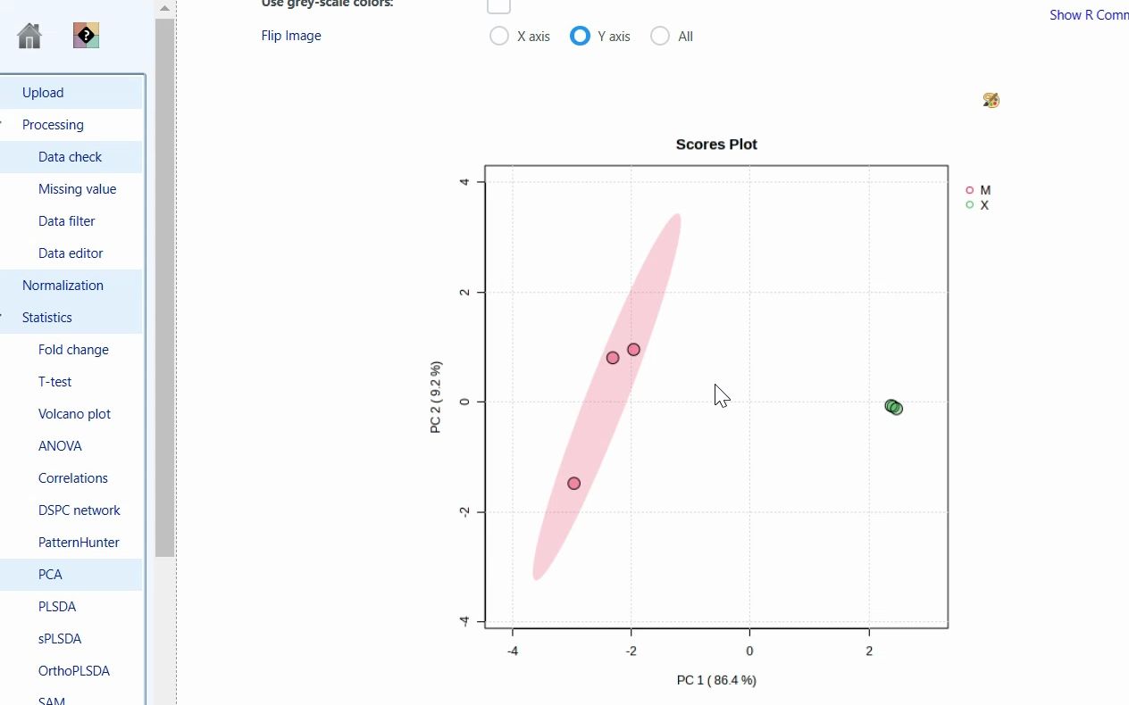 MetaboAnalyst作图导入格式