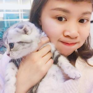 爱养生也爱猫猫 