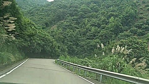 慈溪最高峰蹋脑岗