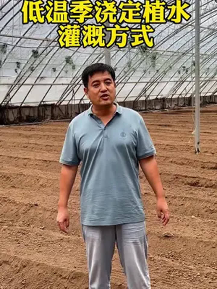低温季浇定值水灌溉方式#农业种植 #王友福 #蔬菜种植 #三农 #助农