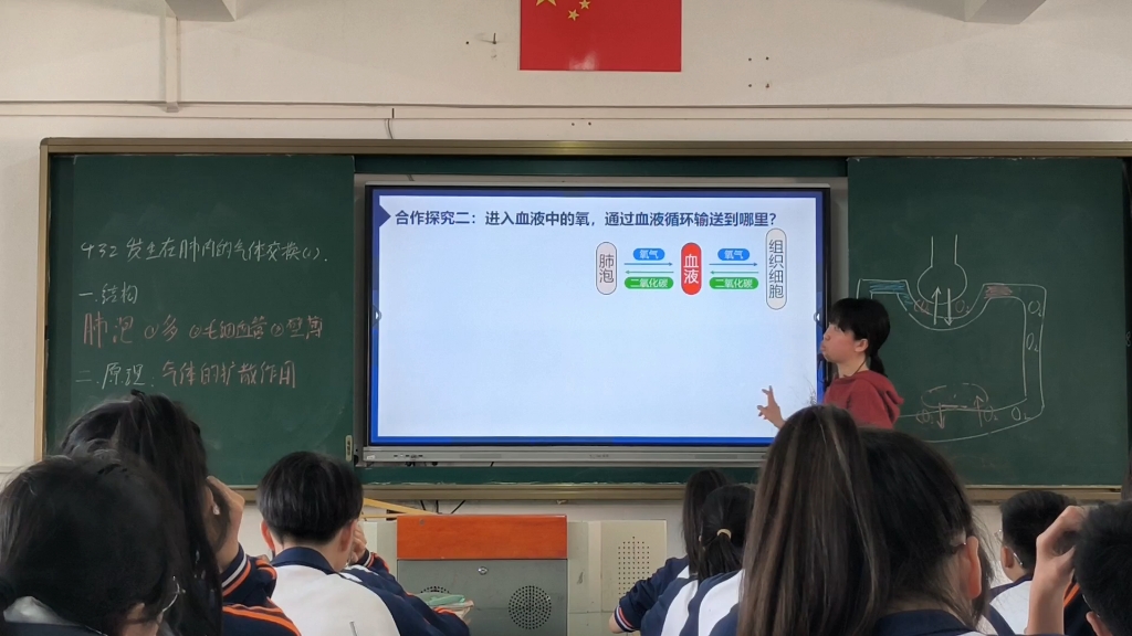 生物七年级下《4.3.2 发生在肺内的气体交换》②