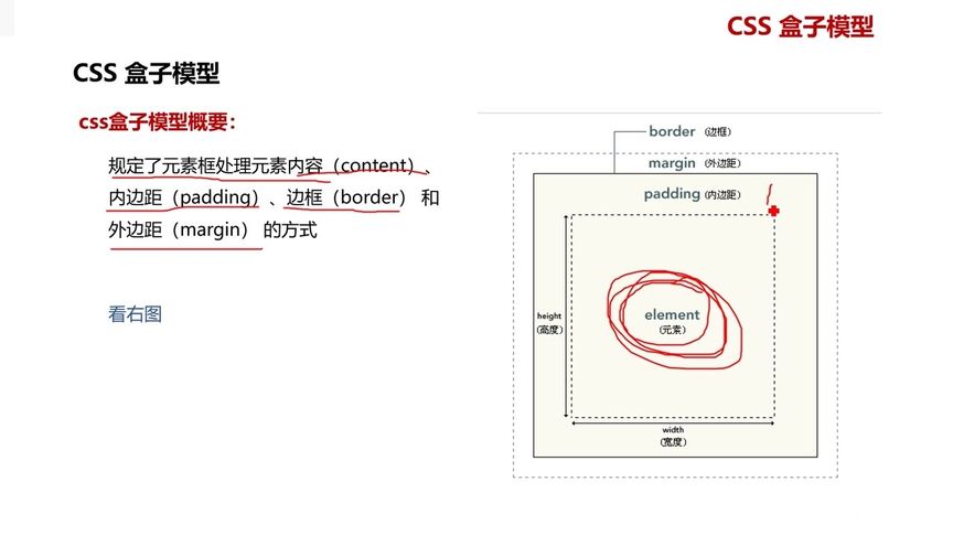 互联网前端开发技术之CSS盒子模型